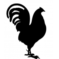 2026 Canfield Fair Rooster Run/Walk | Mahoning County