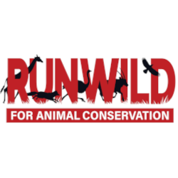 2026 Run Wild 5k 10k North Whitehall Township