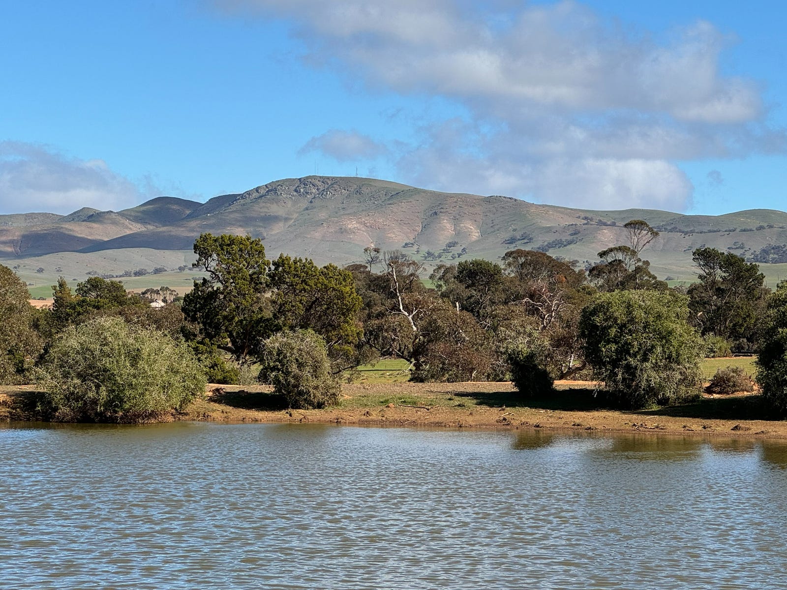 Sold Rural Property Mount Bryan East SA 5419