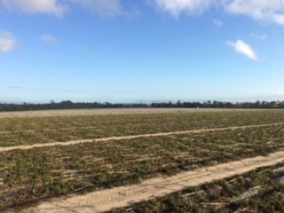 Rural Property For Sale Alloway Qld 4670