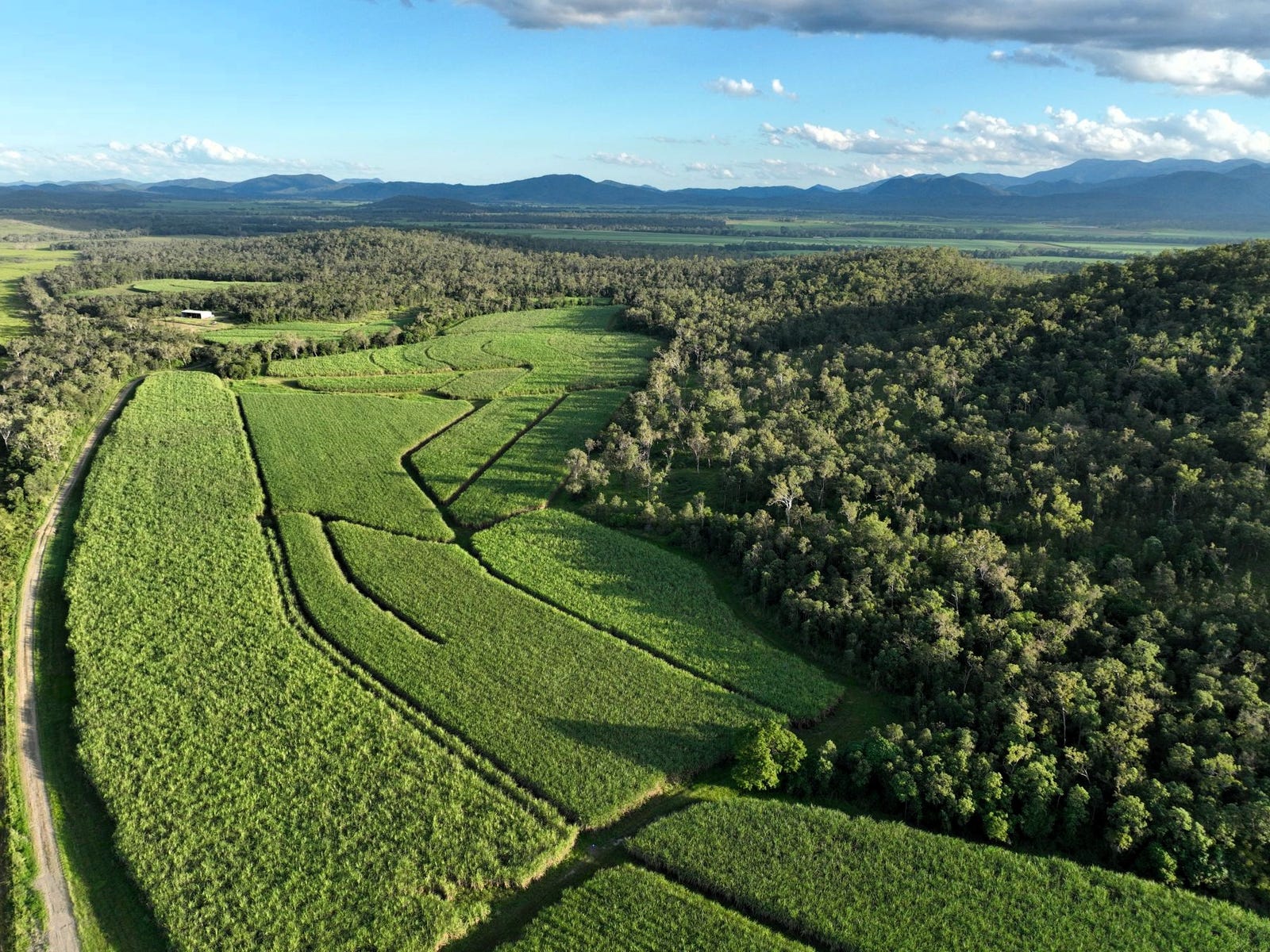 Rural Property For Sale Calen Qld 4798