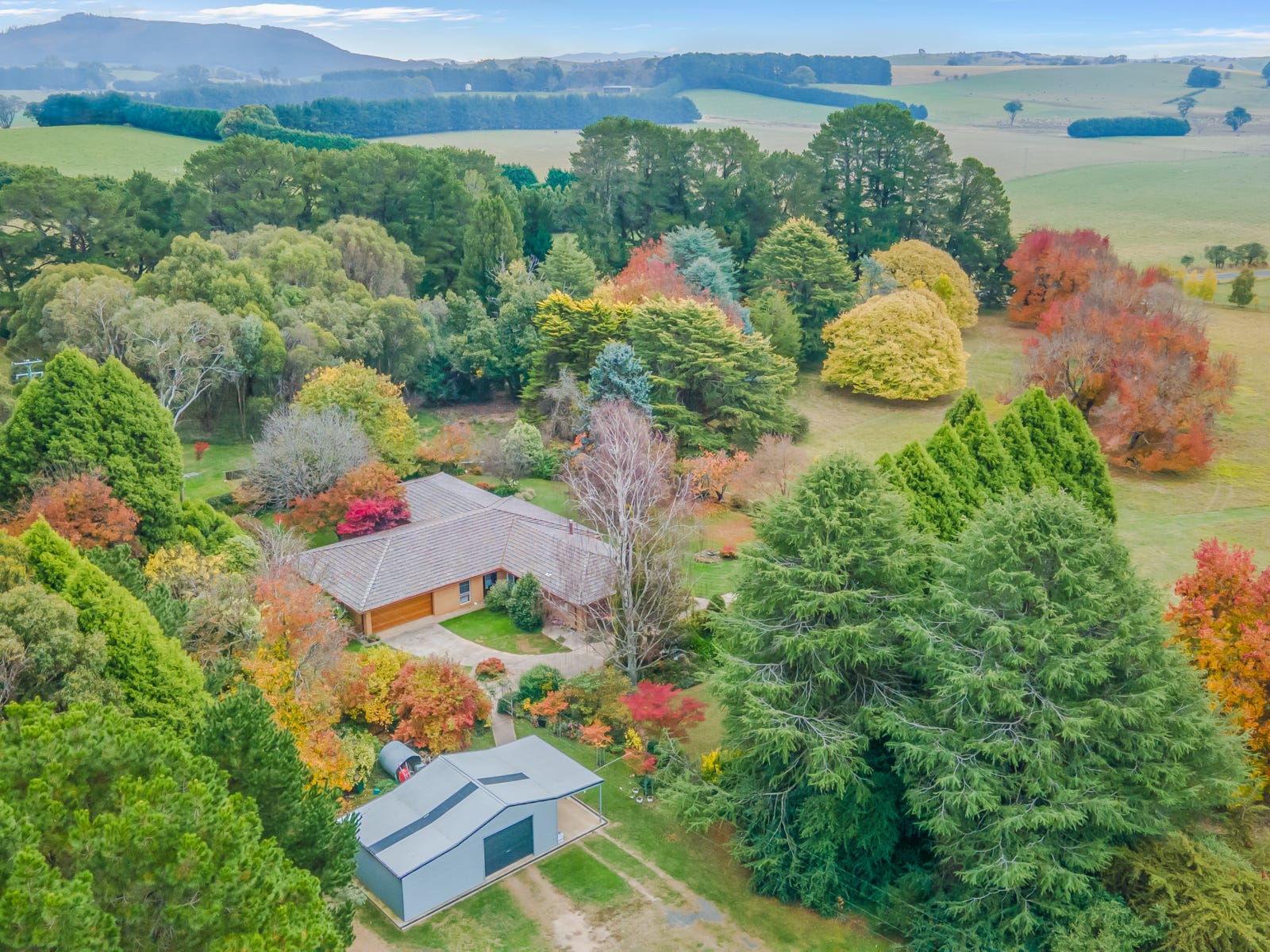 Sold Rural Property Barry NSW 2799