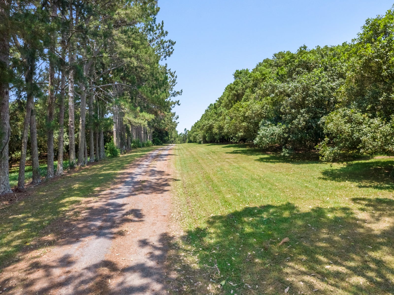 Rural Property For Sale Brooklet NSW 2479