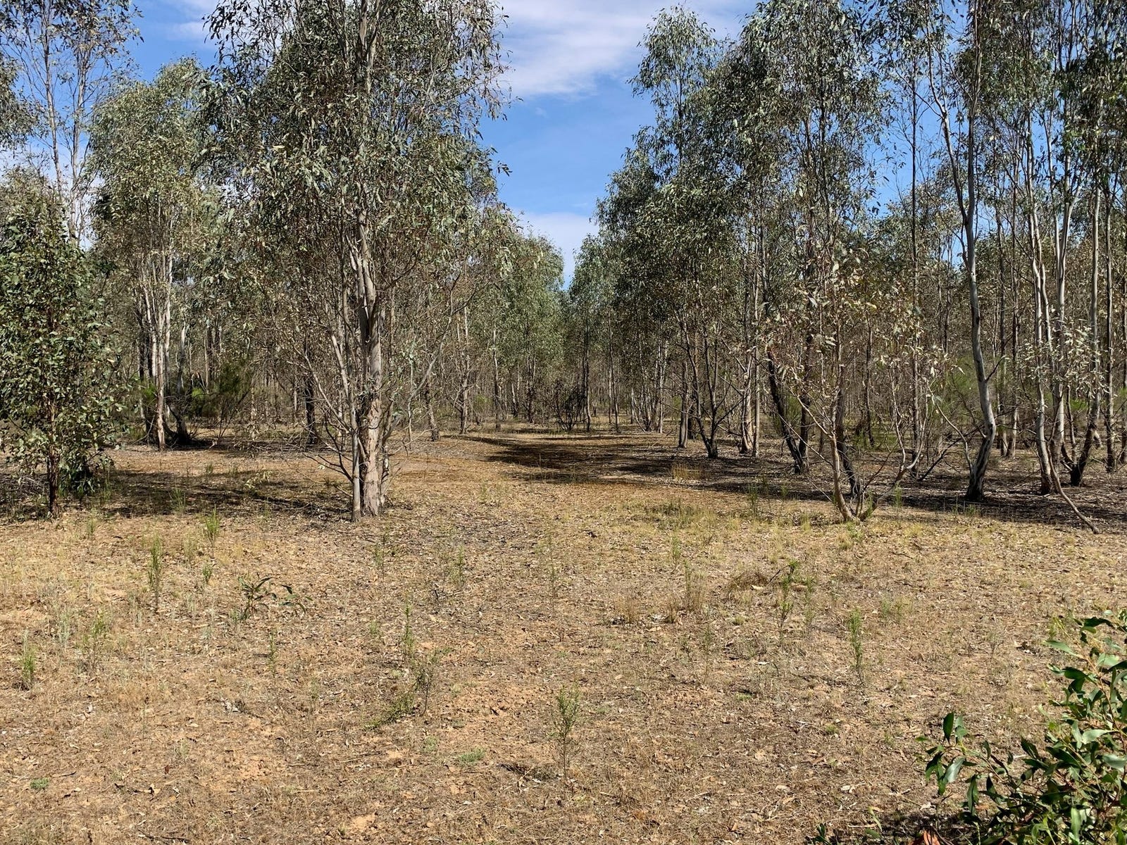 Sold Rural Property Redcastle Vic 3523