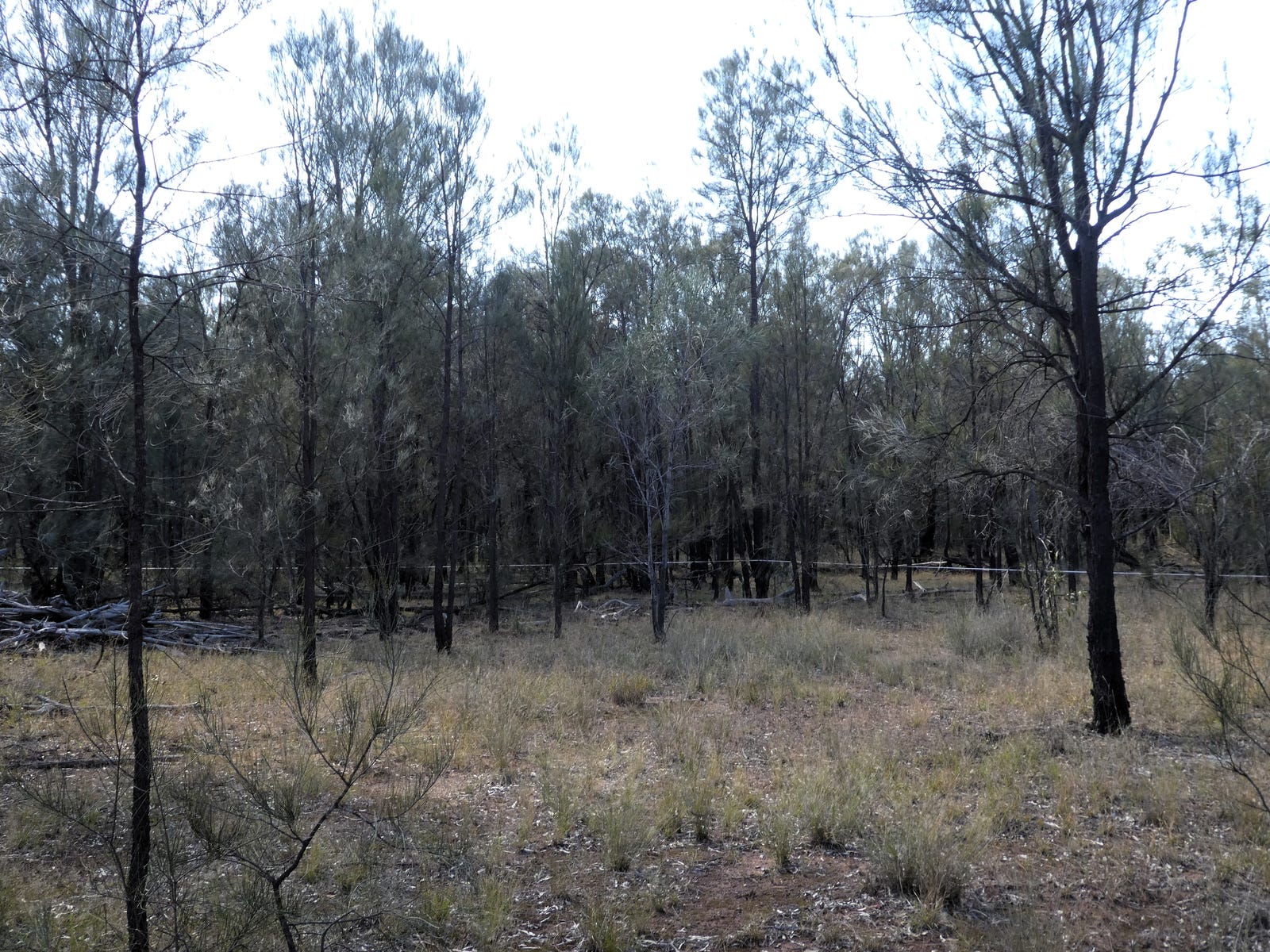 Sold Rural Property Kogan Qld 4406