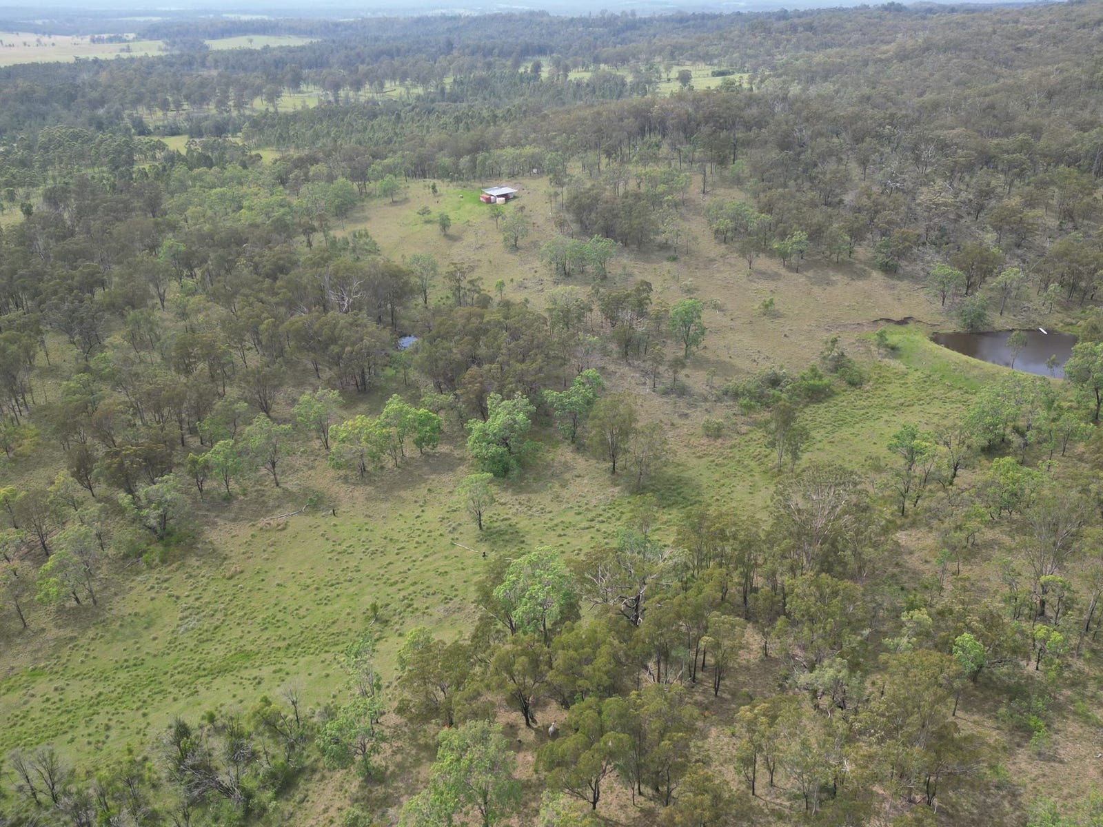 Sold Rural Property Upper Fine Flower NSW 2460