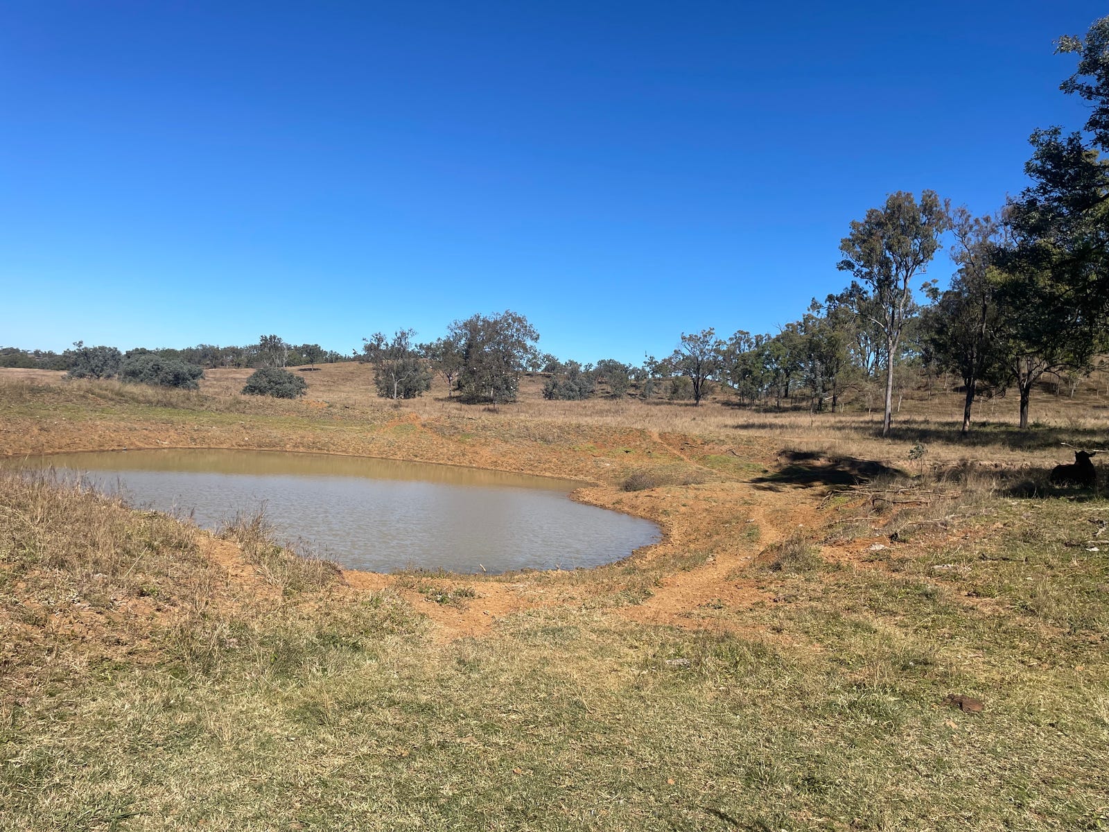 Rural Property For Sale Monto Qld 4630