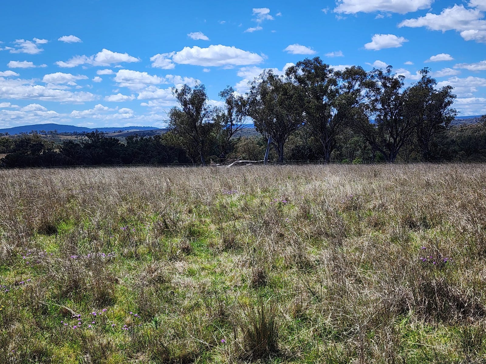 Rural Property For Sale Stanthorpe Qld 4380