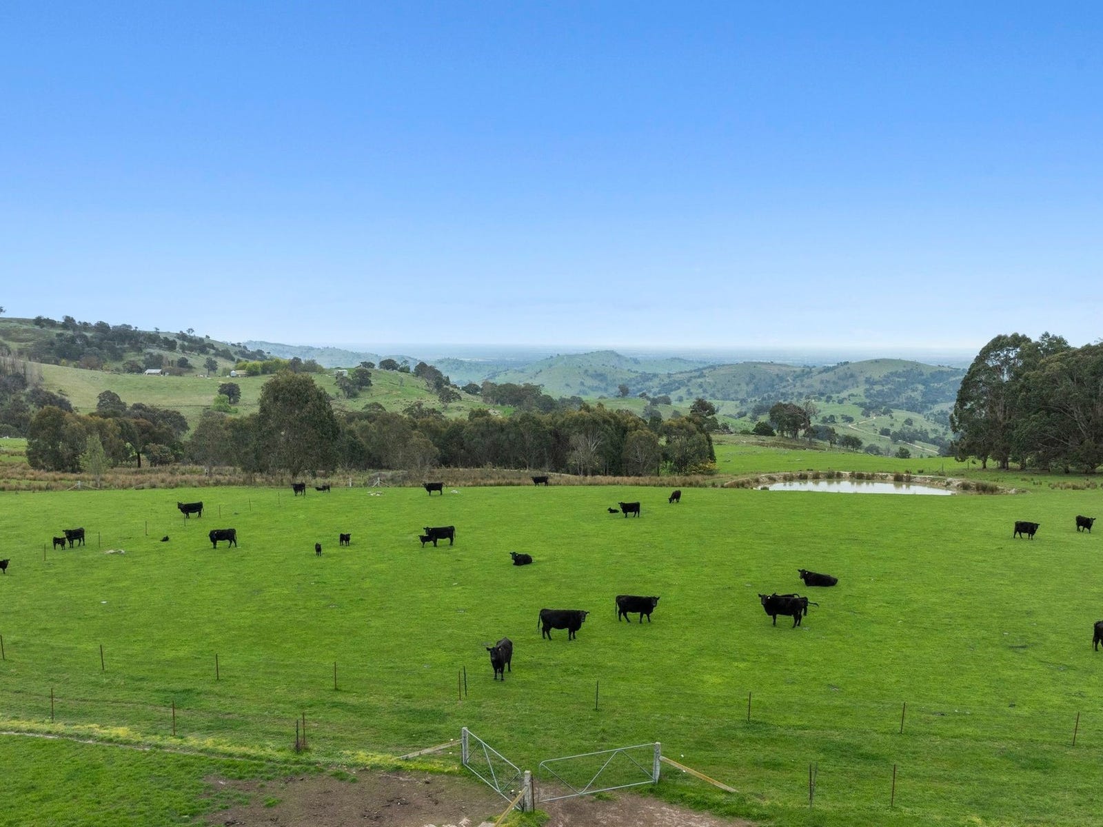 Rural Properties for Sale