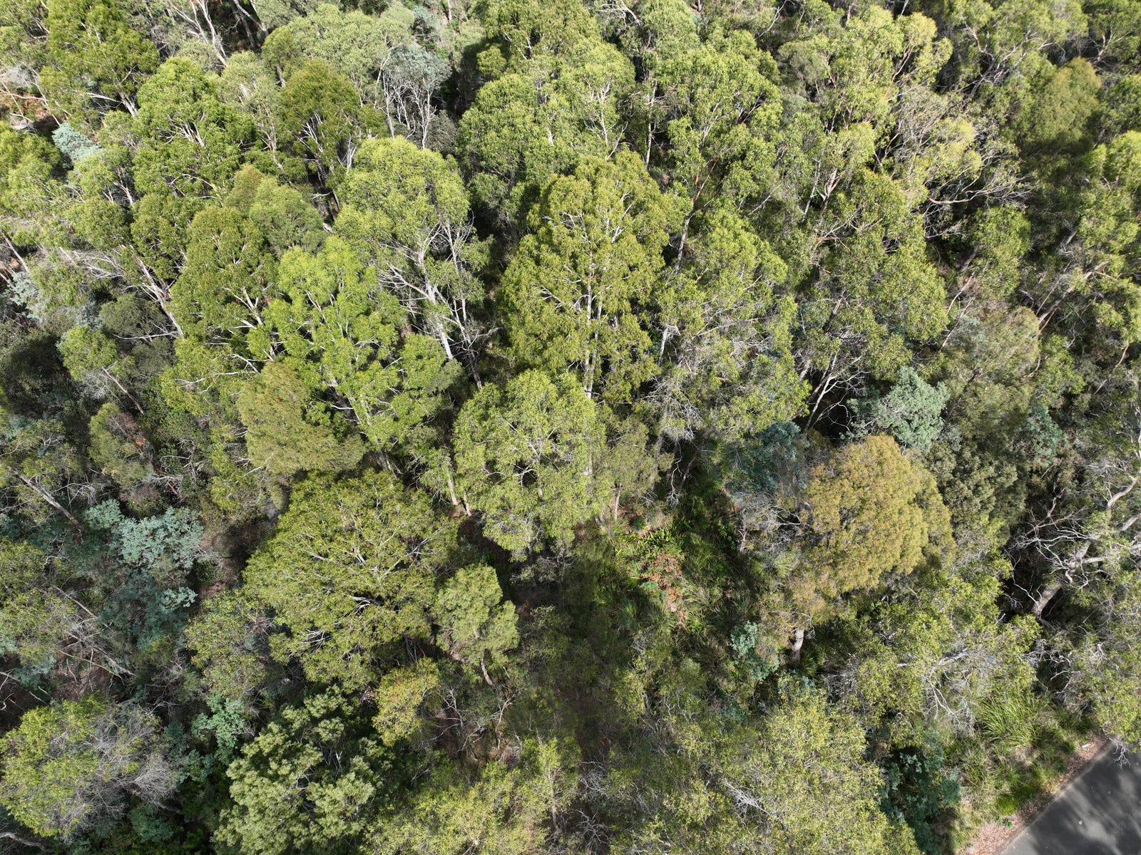 Rural Property For Sale Exton Tas 7303