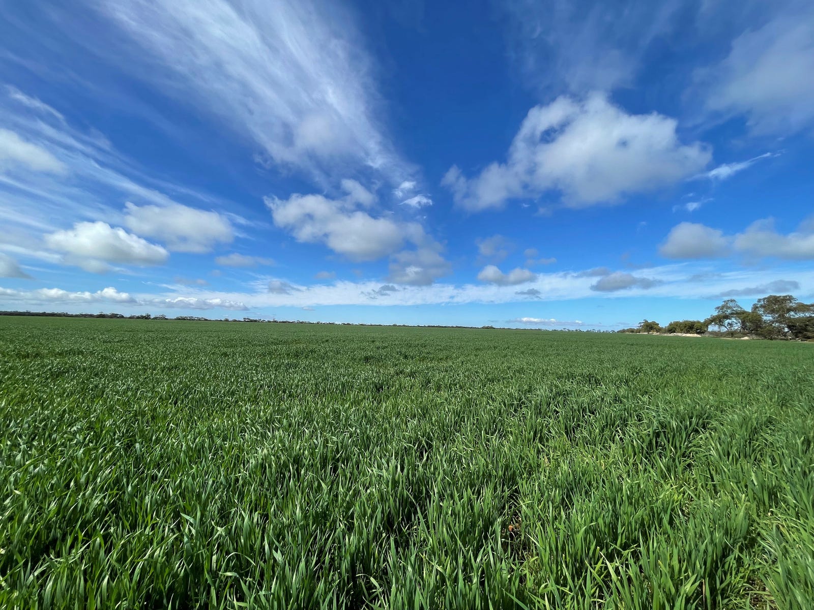 Rural Properties for Sale