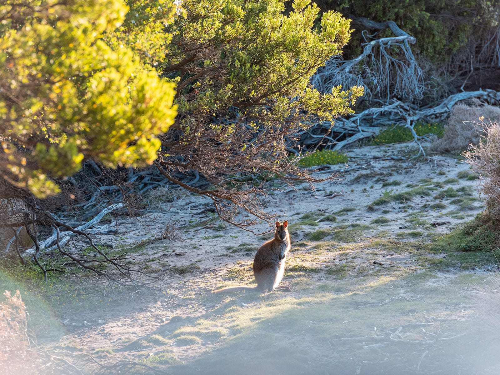 Rural Property For Sale Leeka Tas 7255