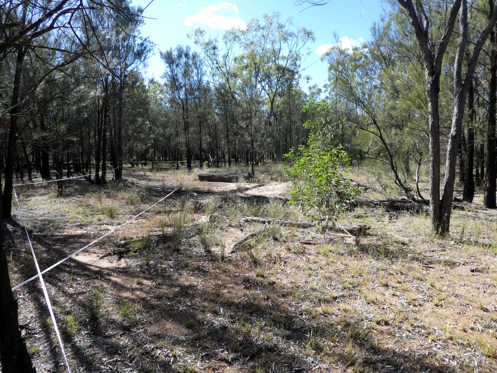 Sold Rural Property Kogan Qld 4406