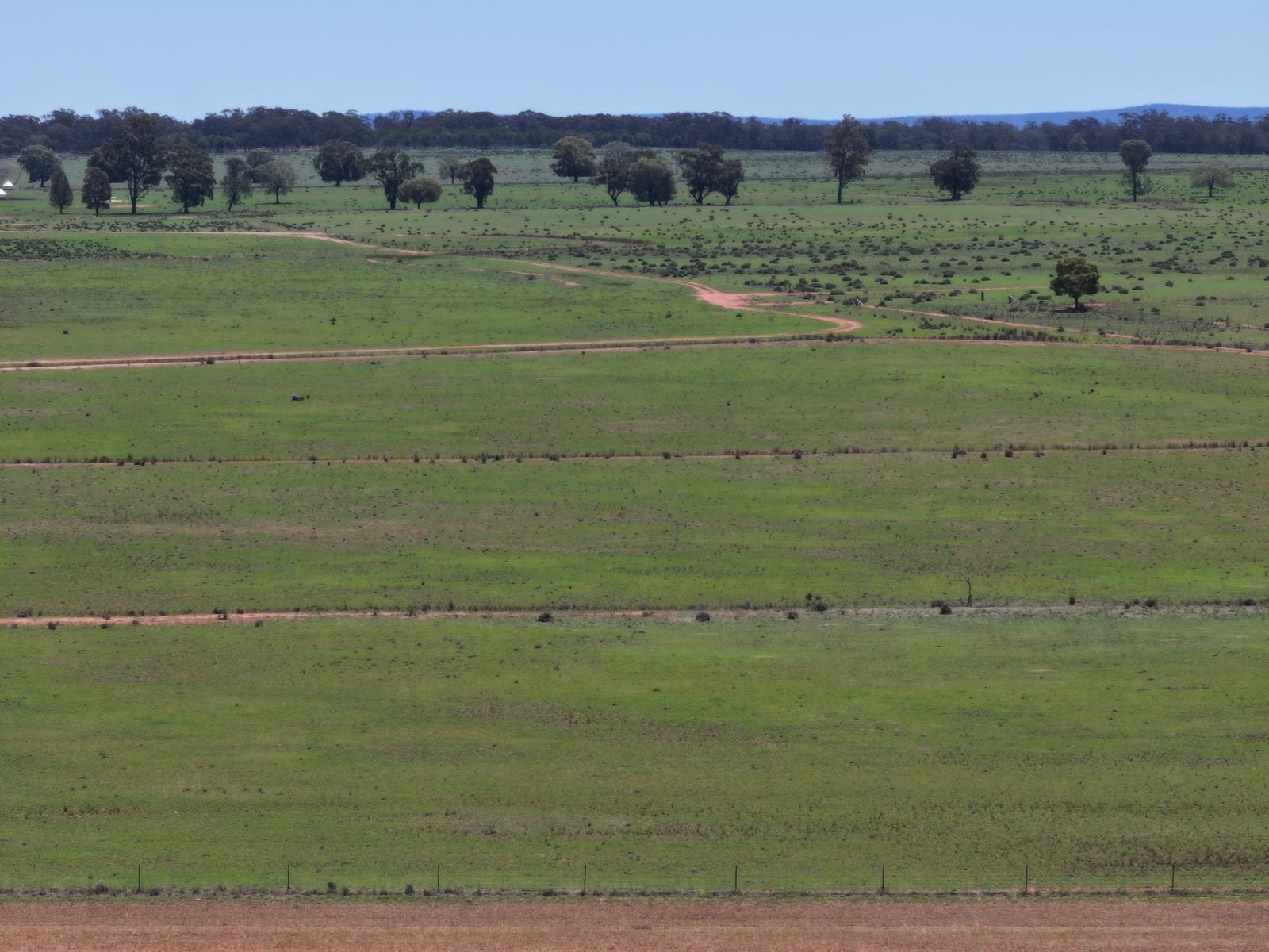 Rural Property For Sale Trundle NSW 2875