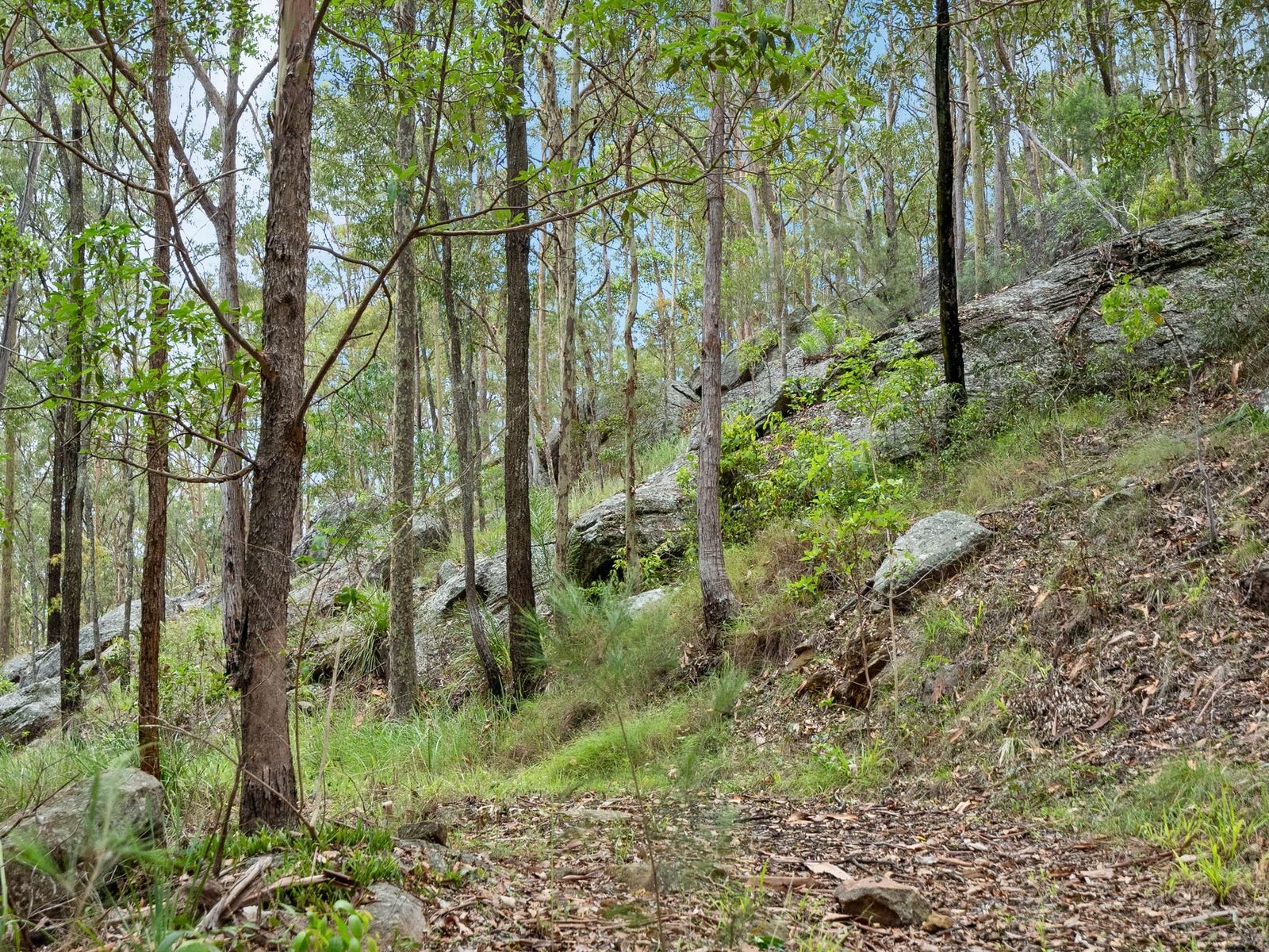 Sold Rural Property Maroon Qld 4310