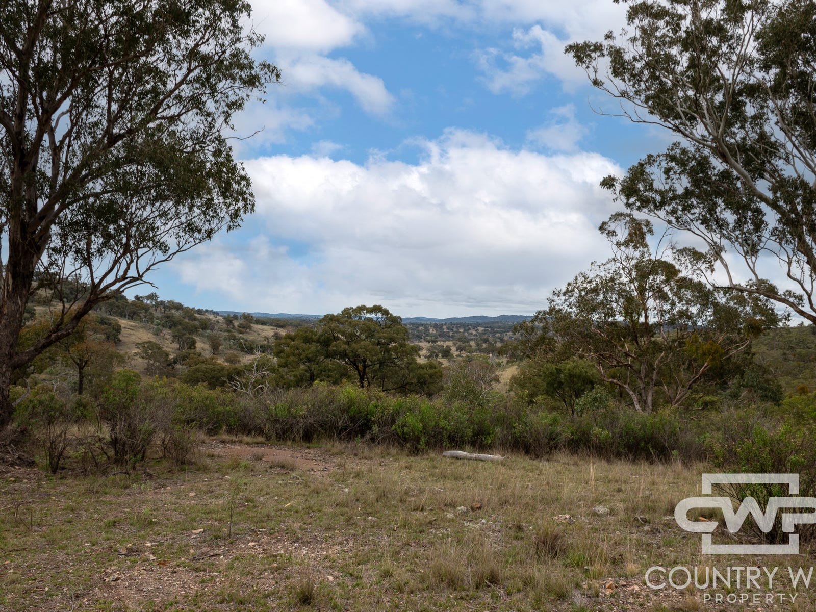 Rural Property For Sale Emmaville NSW 2371