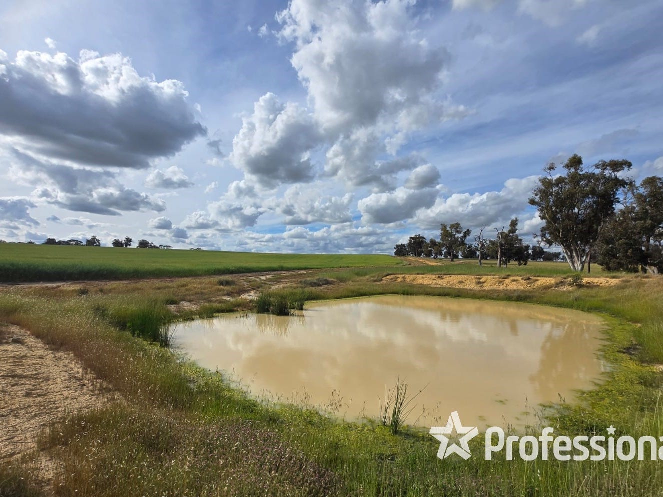 Rural Property For Sale Wagin WA 6315