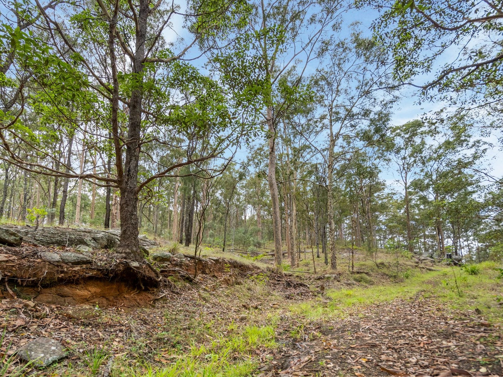 Sold Rural Property Maroon Qld 4310