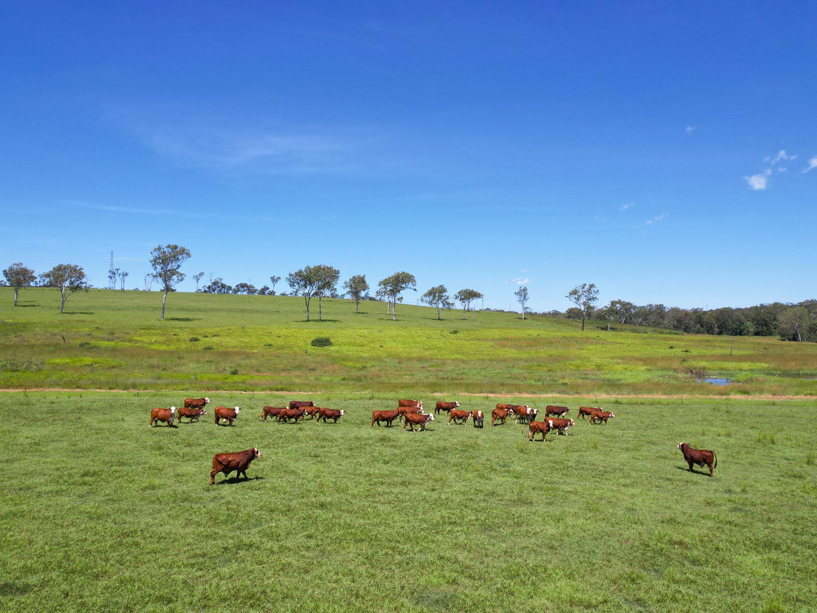 Rural Property For Sale Mount Fox Qld 4850