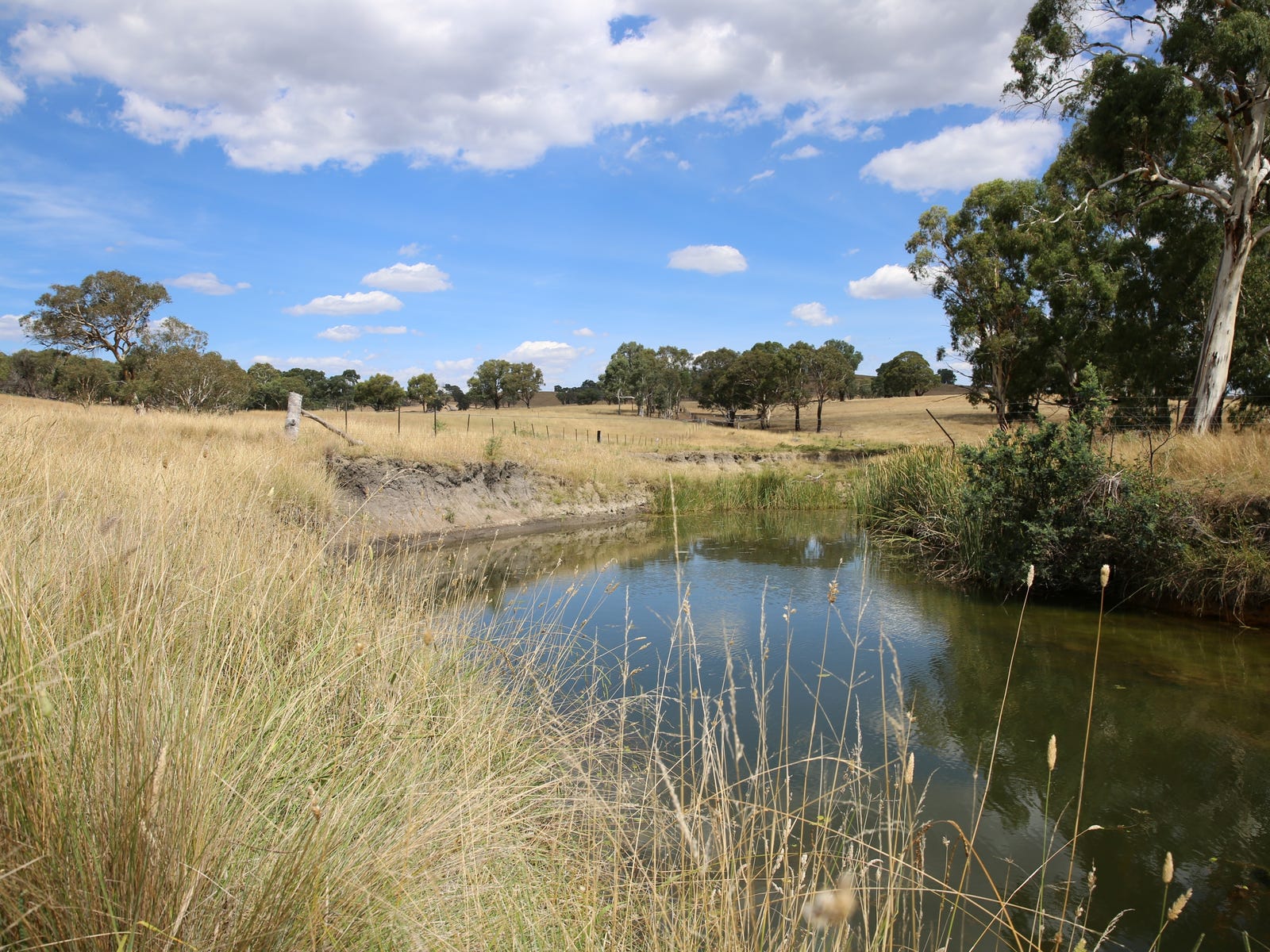 Rural Property For Sale Pyramul NSW 2850