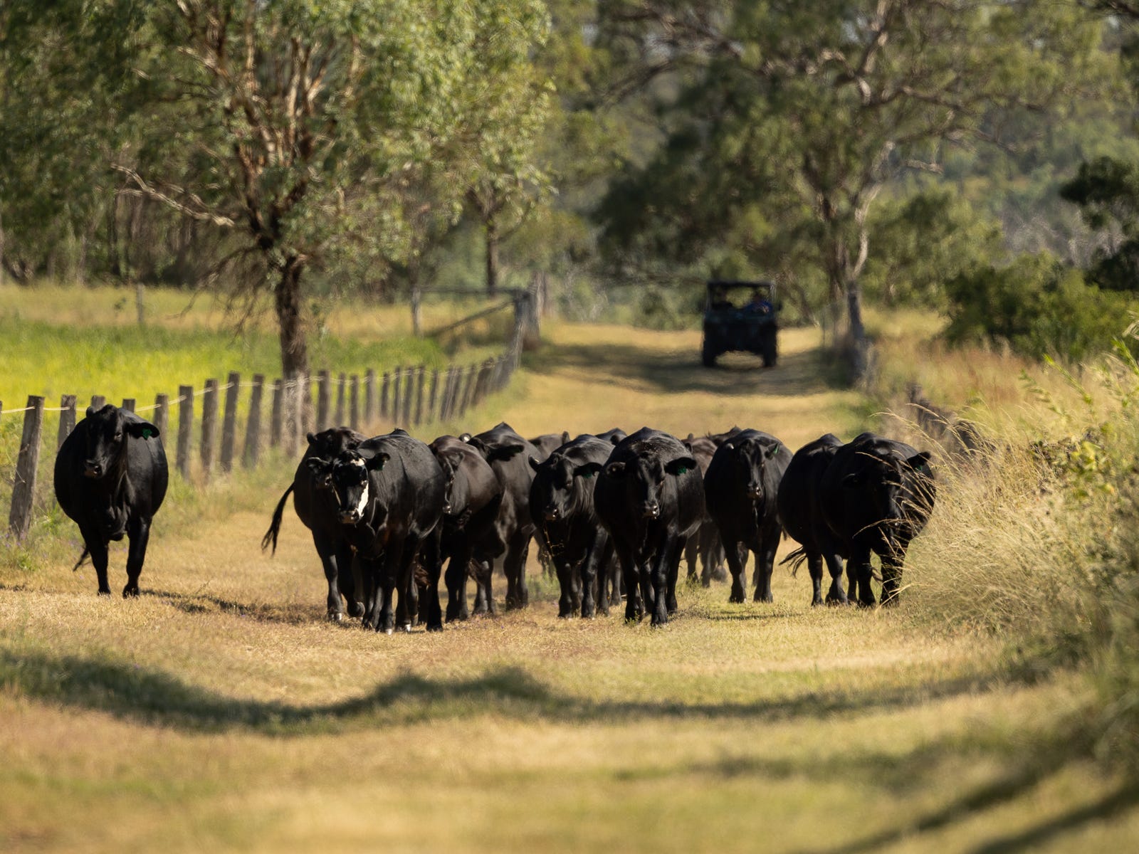 Sold Rural Property Felton Qld 4358