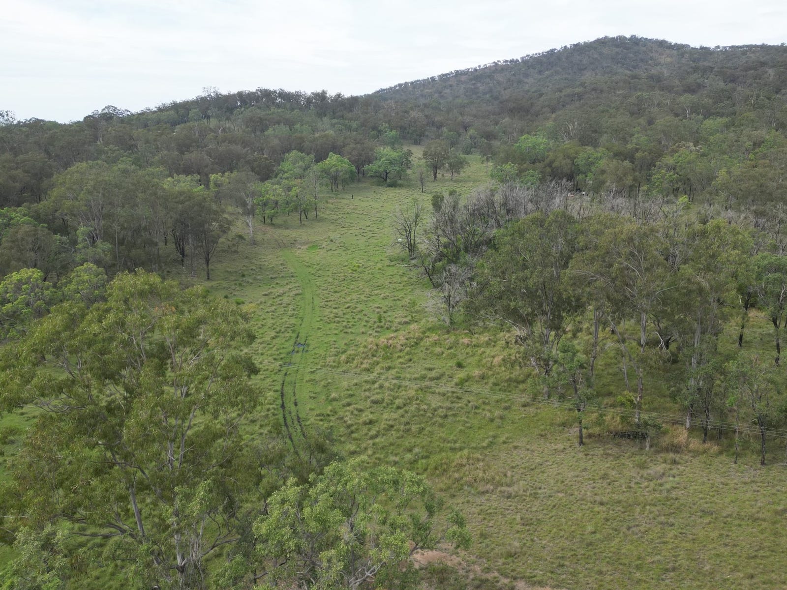 Sold Rural Property Upper Fine Flower NSW 2460