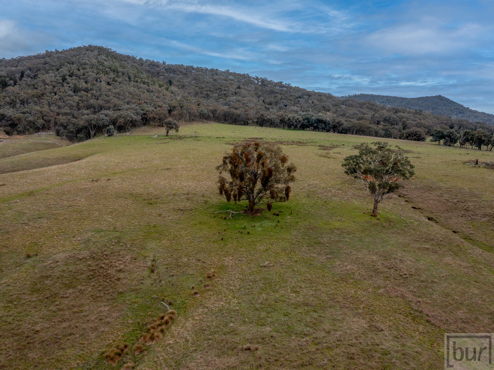 Sold Rural Property Indigo Valley Vic 3688