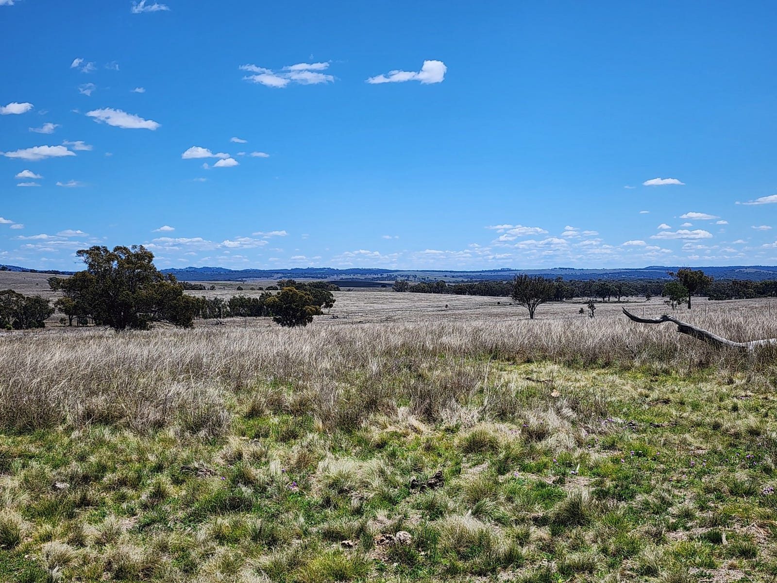 Rural Property For Sale Stanthorpe Qld 4380