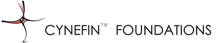 Sign in for Cynefin® Foundations (2020.3)