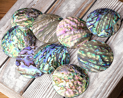 Abalone Large Coin Focal 50mm - Lima Beads