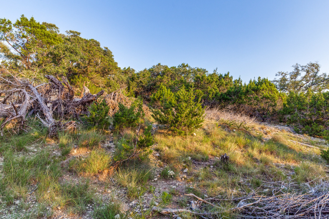 Photos Map & Nearby Contact