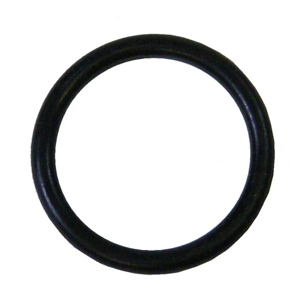 Ansul 429170 Ansul Sentry Parts - O-Ring, Valve to Cylinder