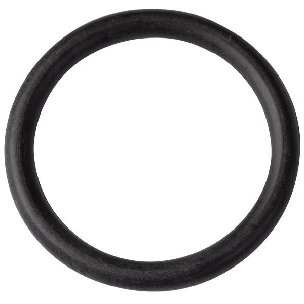 Ansul HS295 O-Ring (79805)