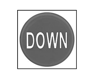 Industrial Hardware 16785 Plastic Enclosed Push-Button Switches, 2 ...