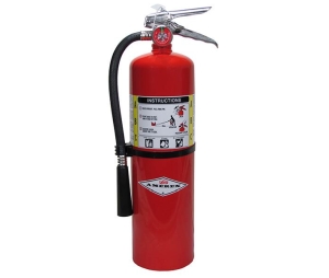 Amerex A441 10 lb. ABC Brass Valve