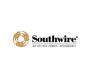 Southwire Cmp. 57555301 Cat 5E 4Pr + 16-2C Control Cable Blk With Mc ...