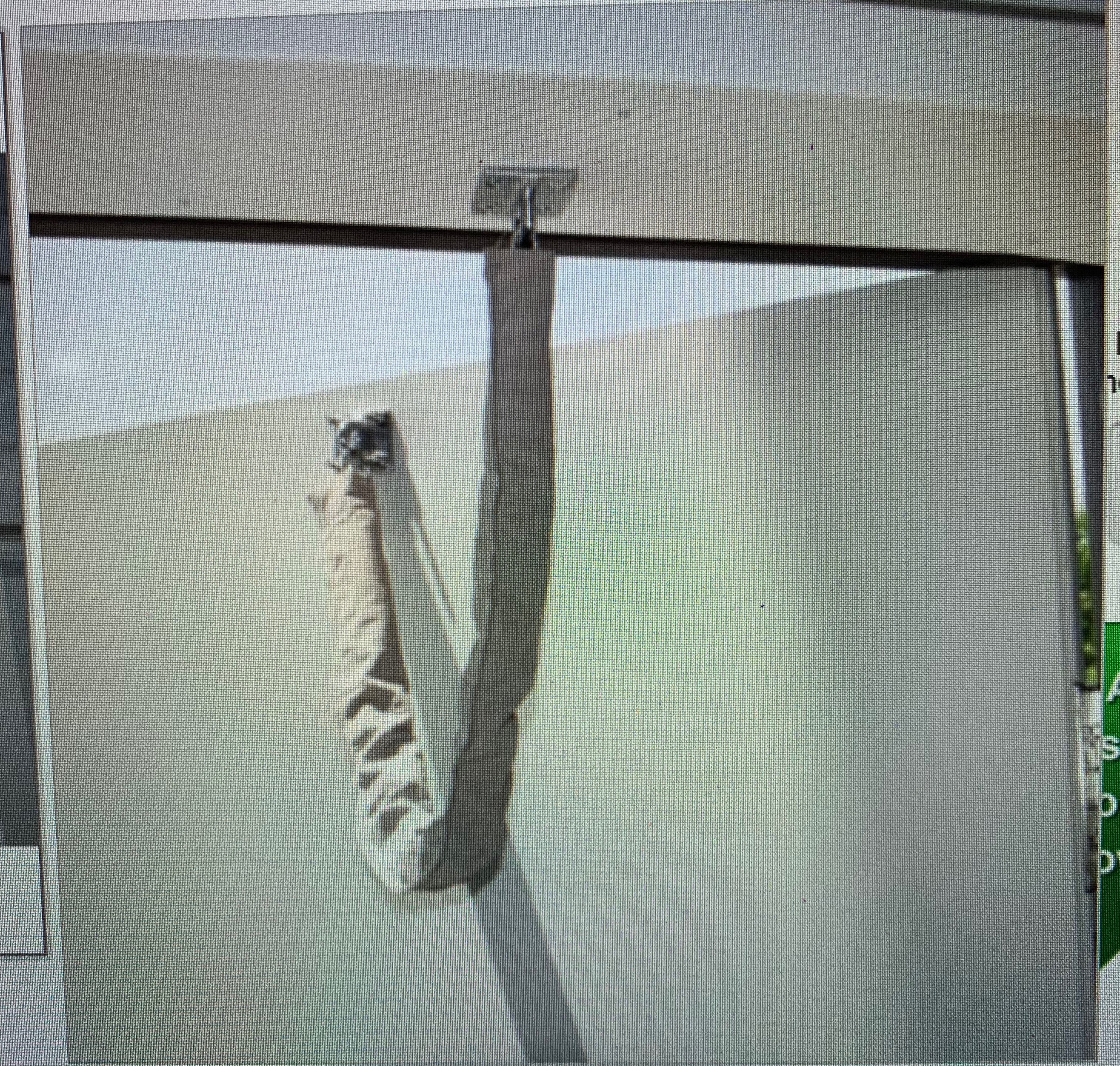 IVES CS115 US10B 30 1/2 IN Crash Chain Stop - Oil Rubbed Dark Bronze Steel