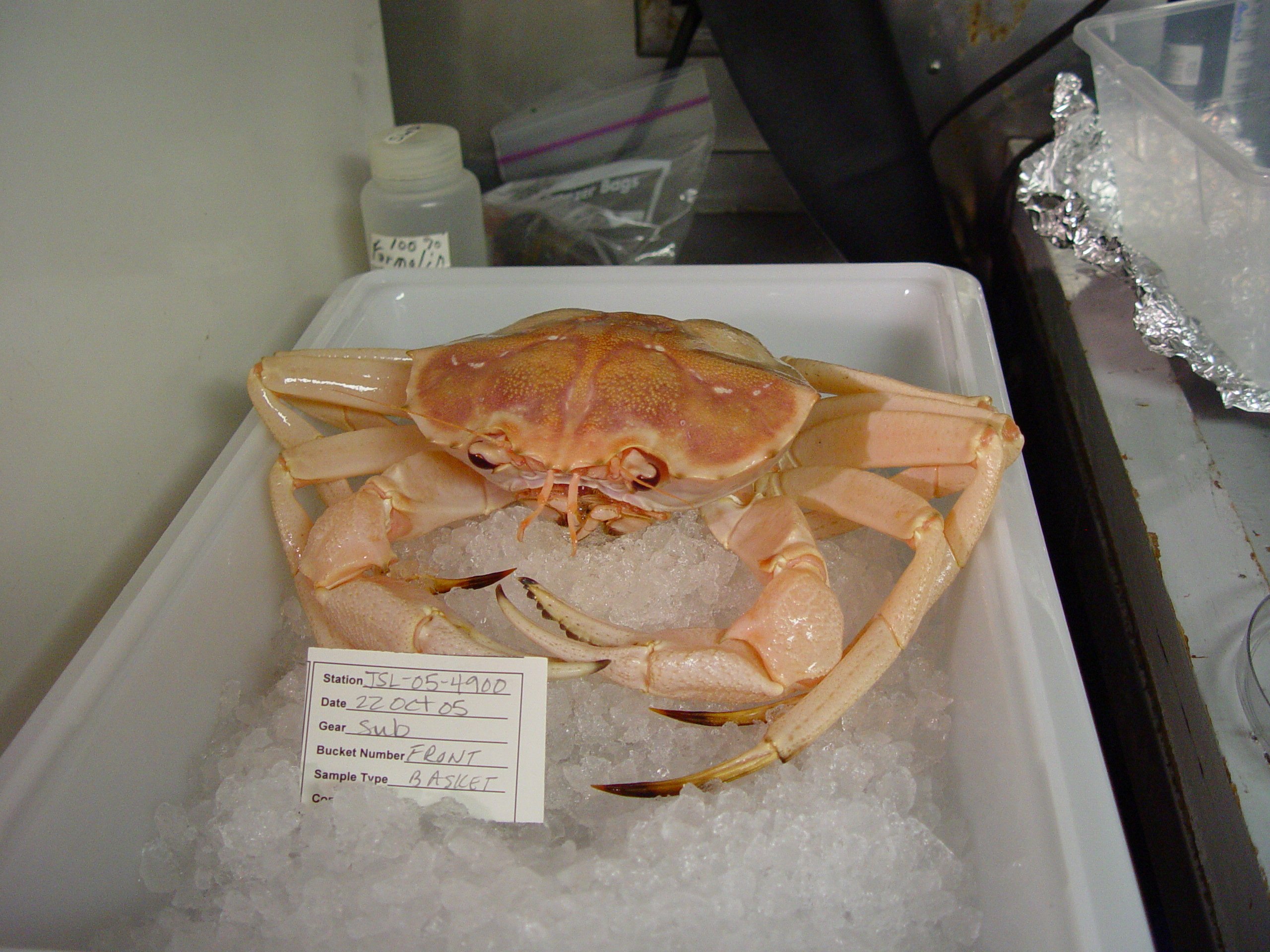 pl23_expl2093.jpg | National Oceanic and Atmospheric Administration