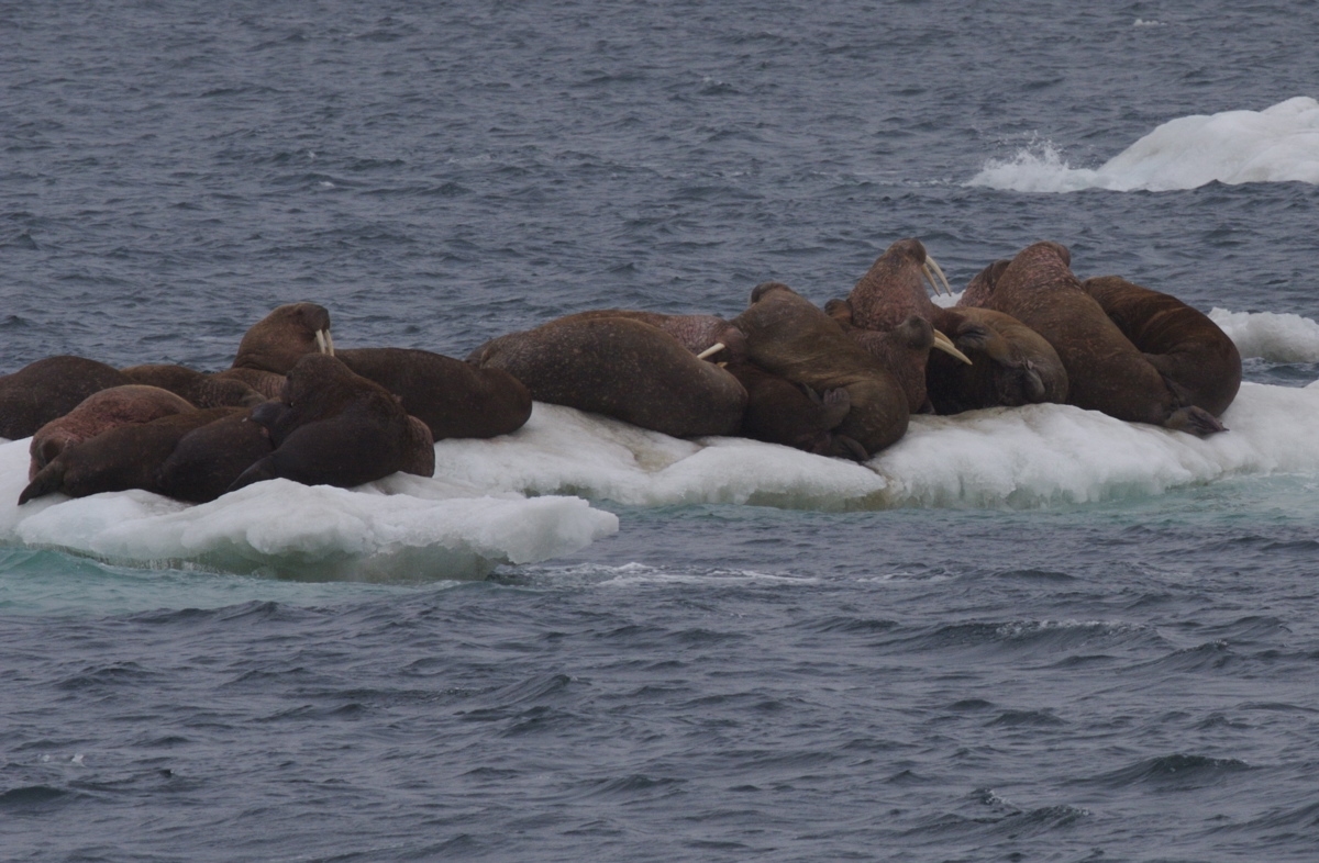 pl23_expl8415.jpg | National Oceanic and Atmospheric Administration