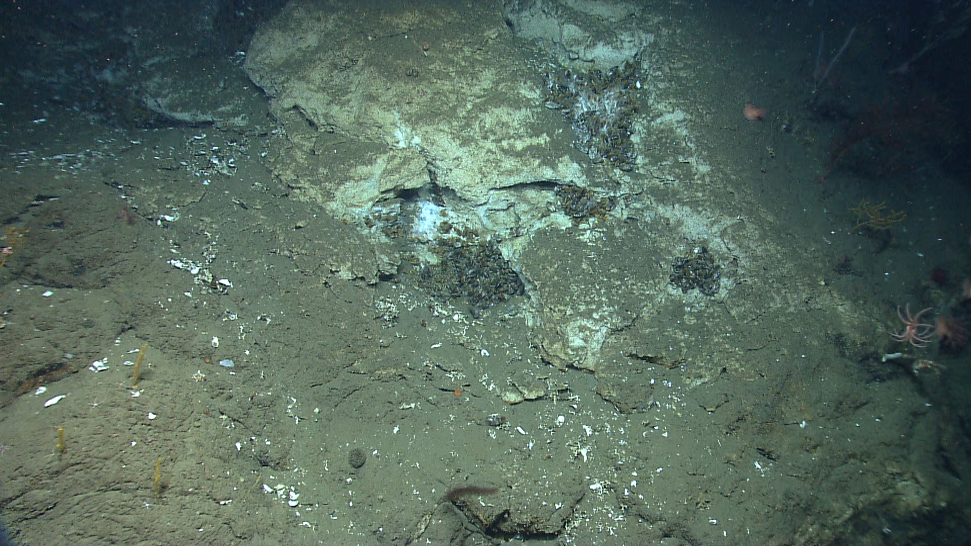 pl23_expn0757.jpg | National Oceanic and Atmospheric Administration