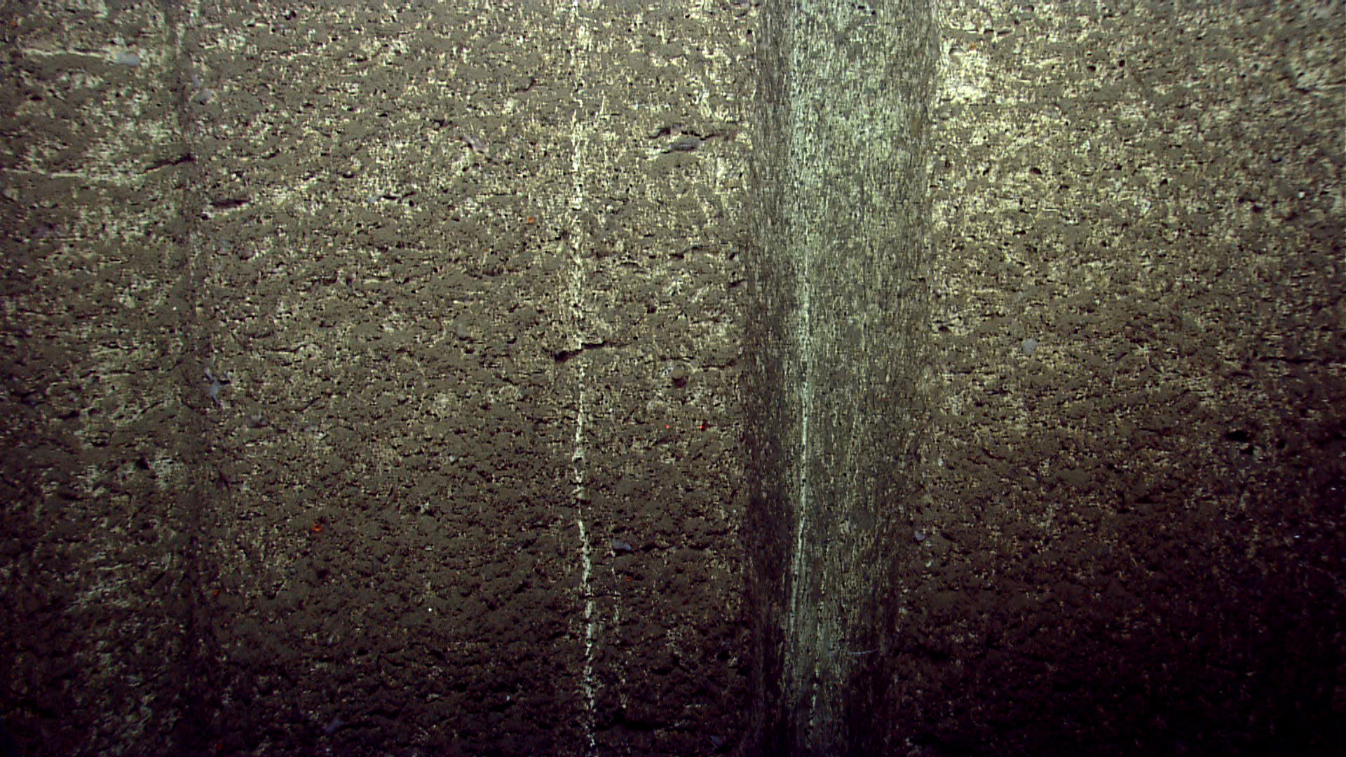 pl23_expn0790.jpg | National Oceanic and Atmospheric Administration