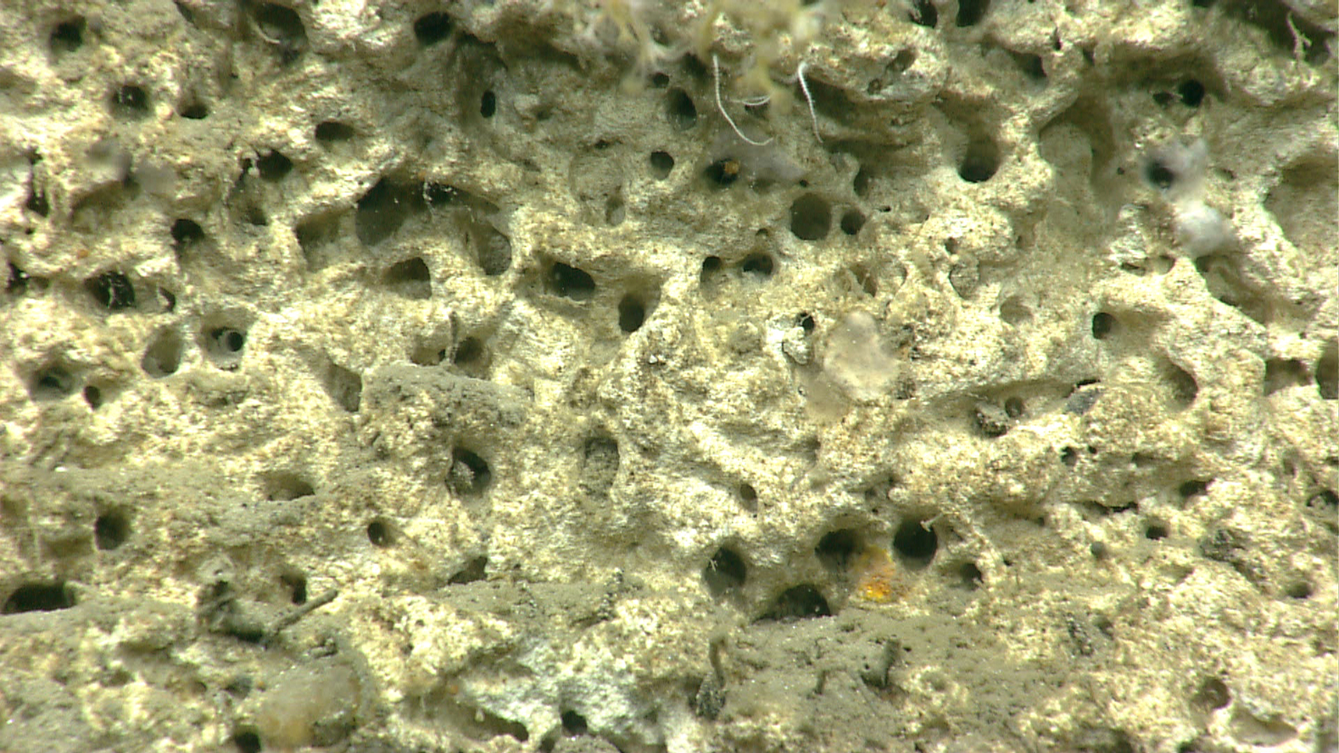 pl23_expn0797.jpg | National Oceanic and Atmospheric Administration