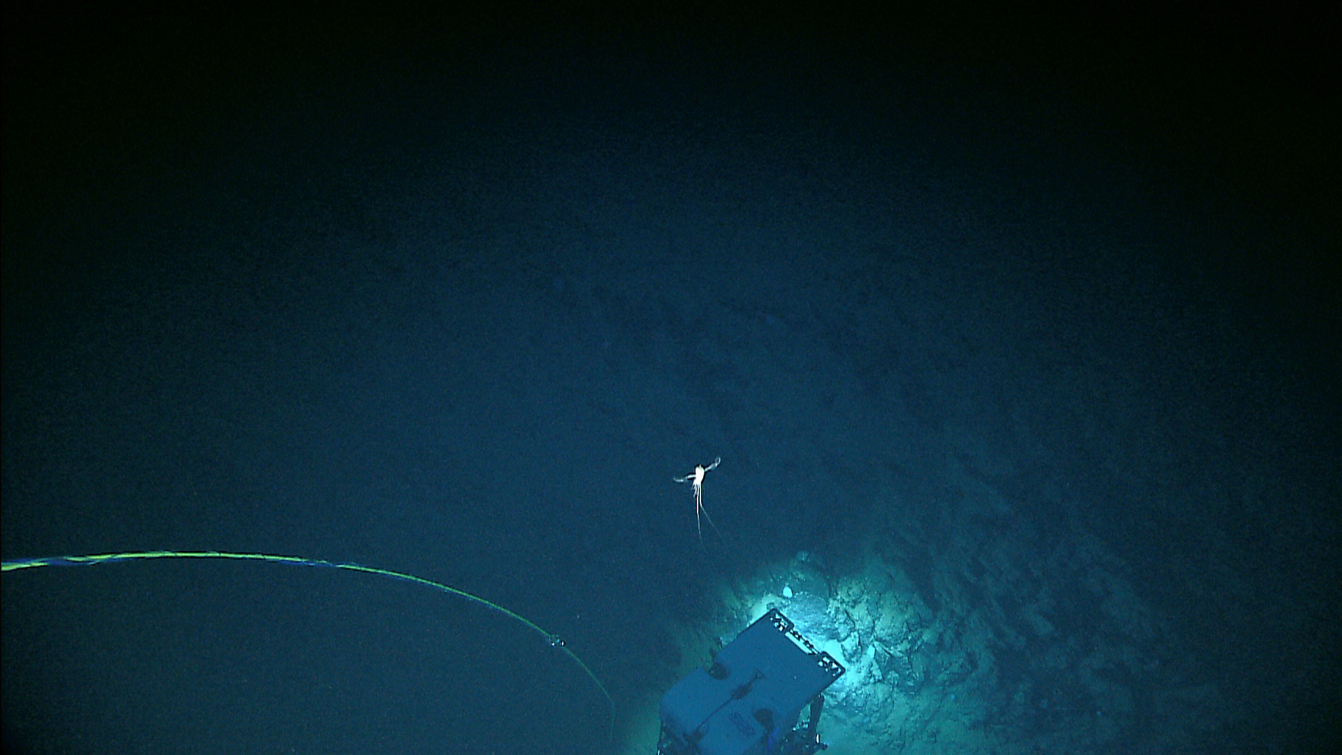 pl23_expn3486.jpg | National Oceanic and Atmospheric Administration