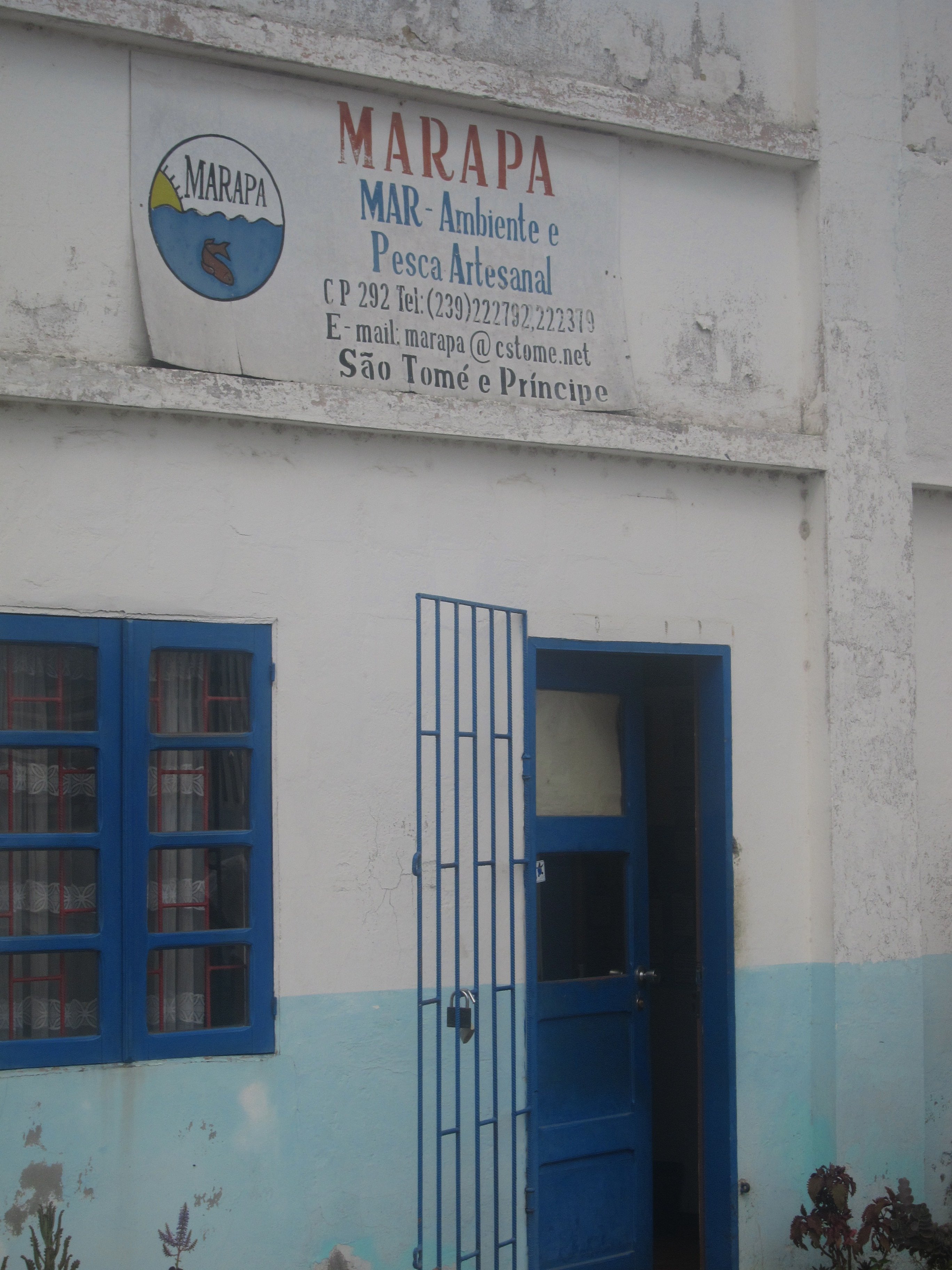 pl23_fish2264.jpg | National Oceanic and Atmospheric Administration