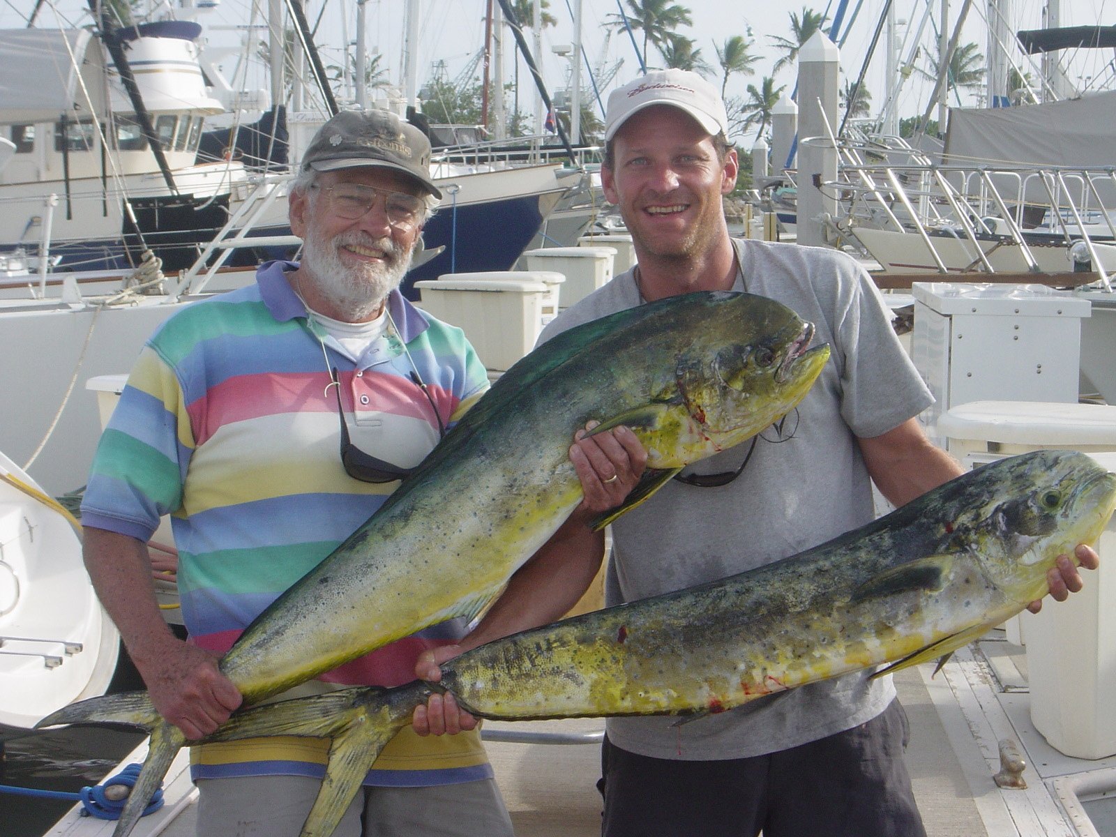pl23_fish2423.jpg | National Oceanic and Atmospheric Administration