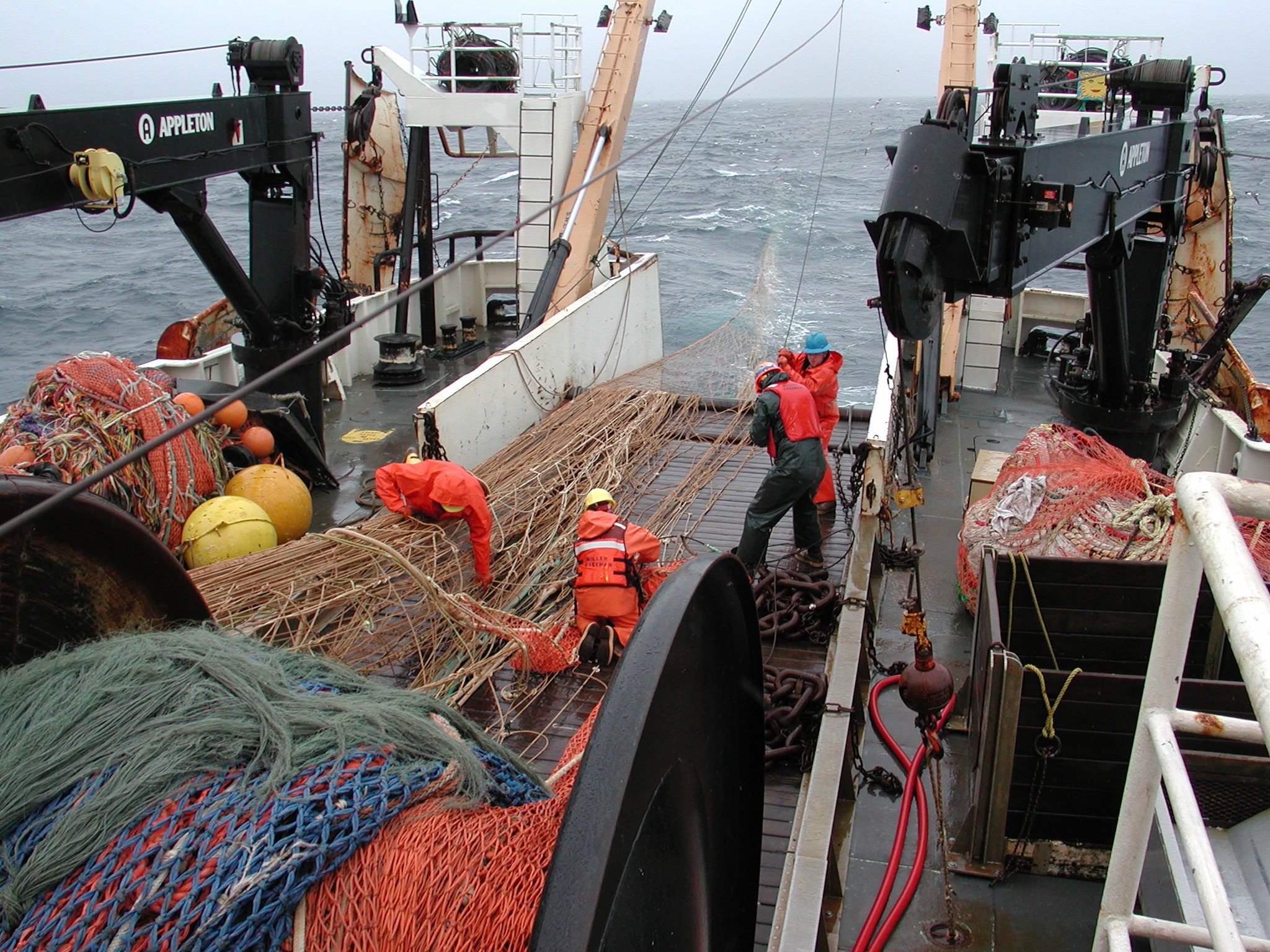 pl23_fish2550.jpg | National Oceanic and Atmospheric Administration