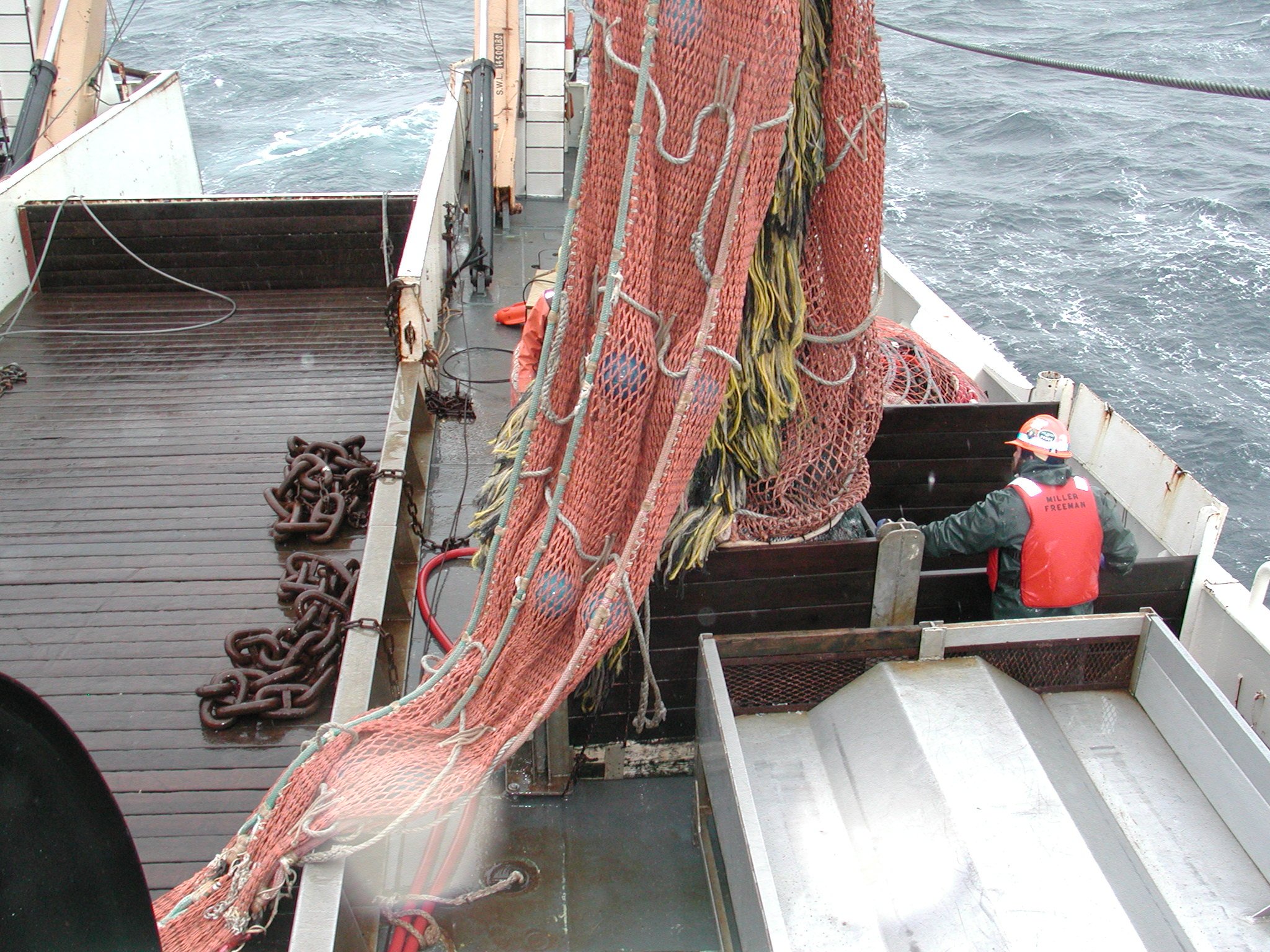 fish2555.jpg | National Oceanic and Atmospheric Administration