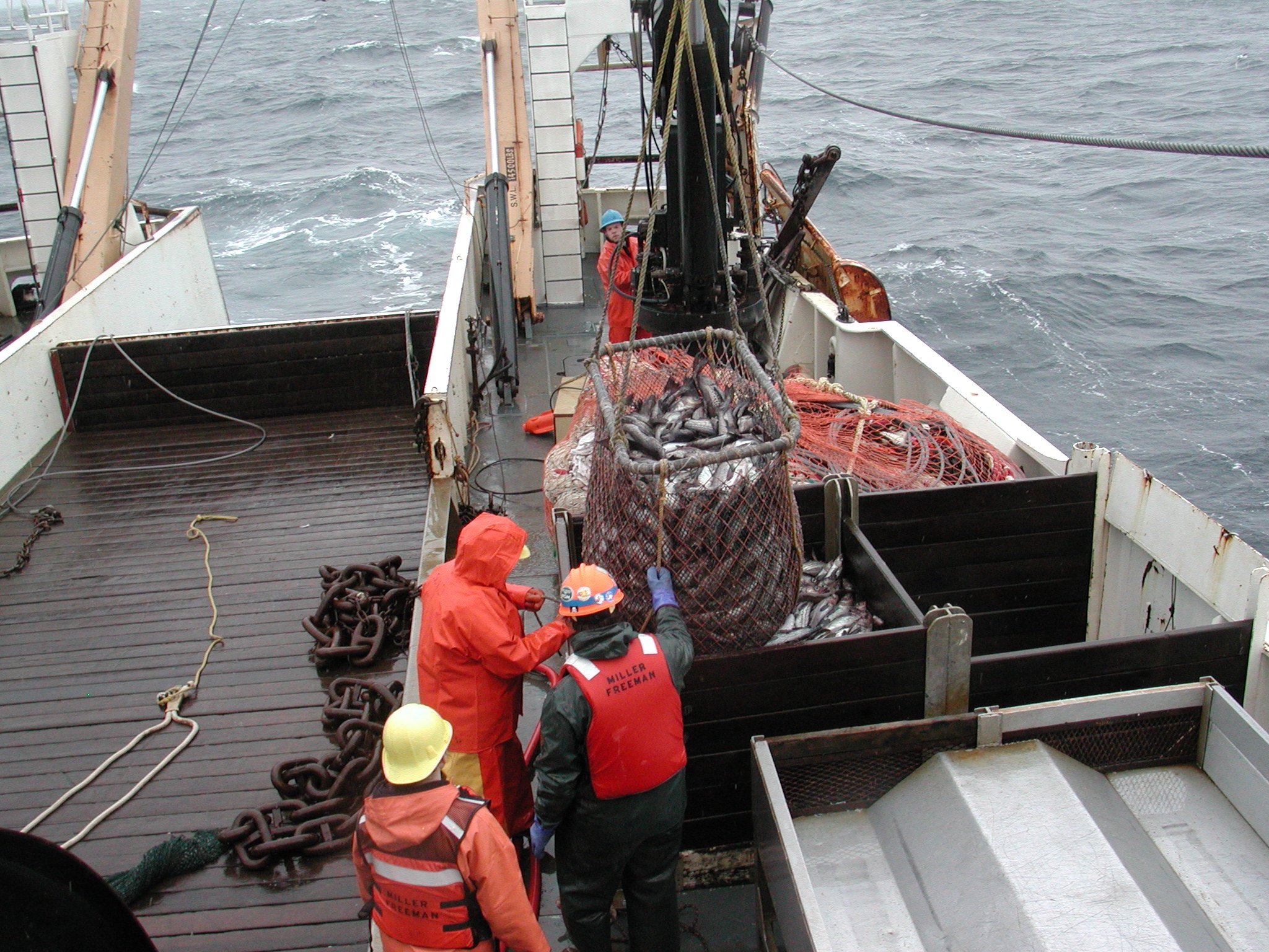 fish2561.jpg | National Oceanic and Atmospheric Administration