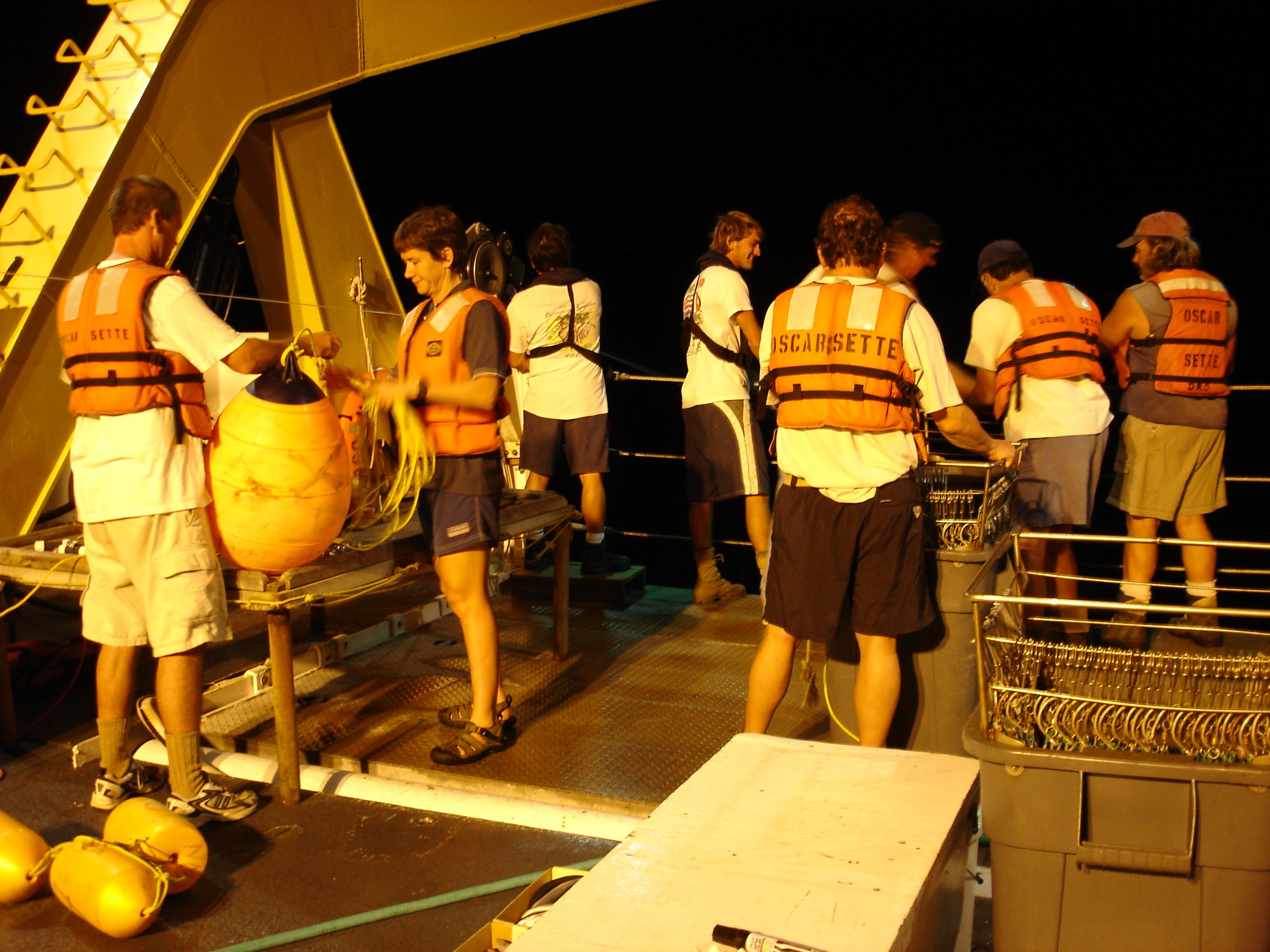 fish2579.jpg | National Oceanic and Atmospheric Administration