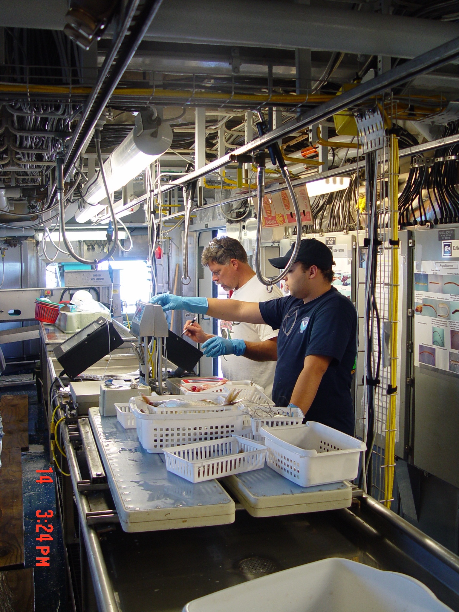 pl23_fish2834.jpg | National Oceanic and Atmospheric Administration
